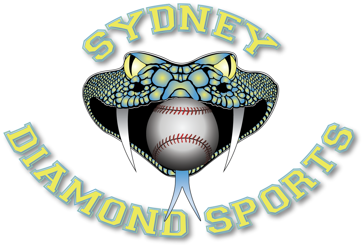 Sydney Diamond Sports – Professional Baseball Coaching, Tournaments ...